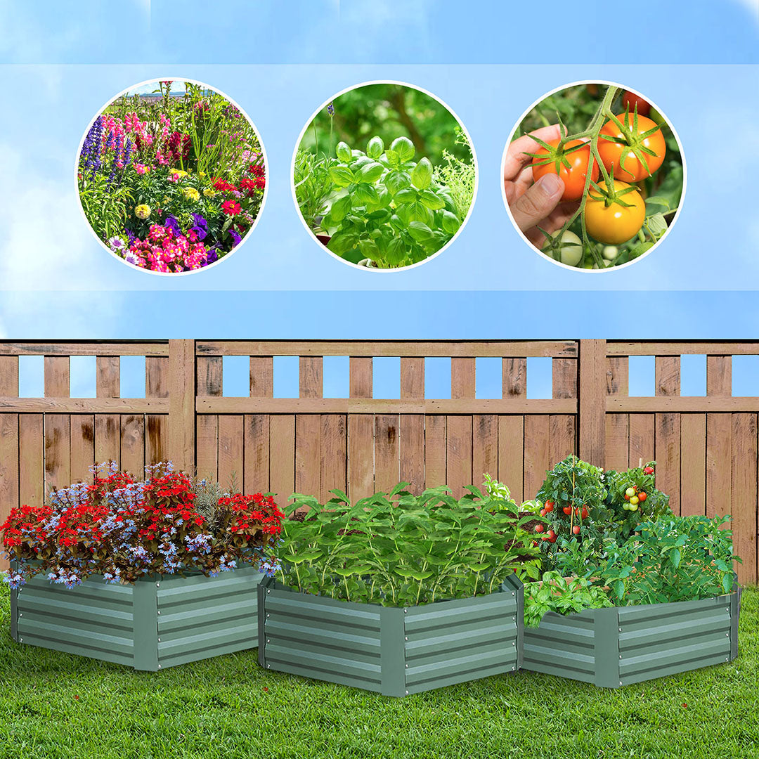 NNEAGS 2X 60cm Hexagon Shape Galvanised Raised Garden Bed Vegetable He ...