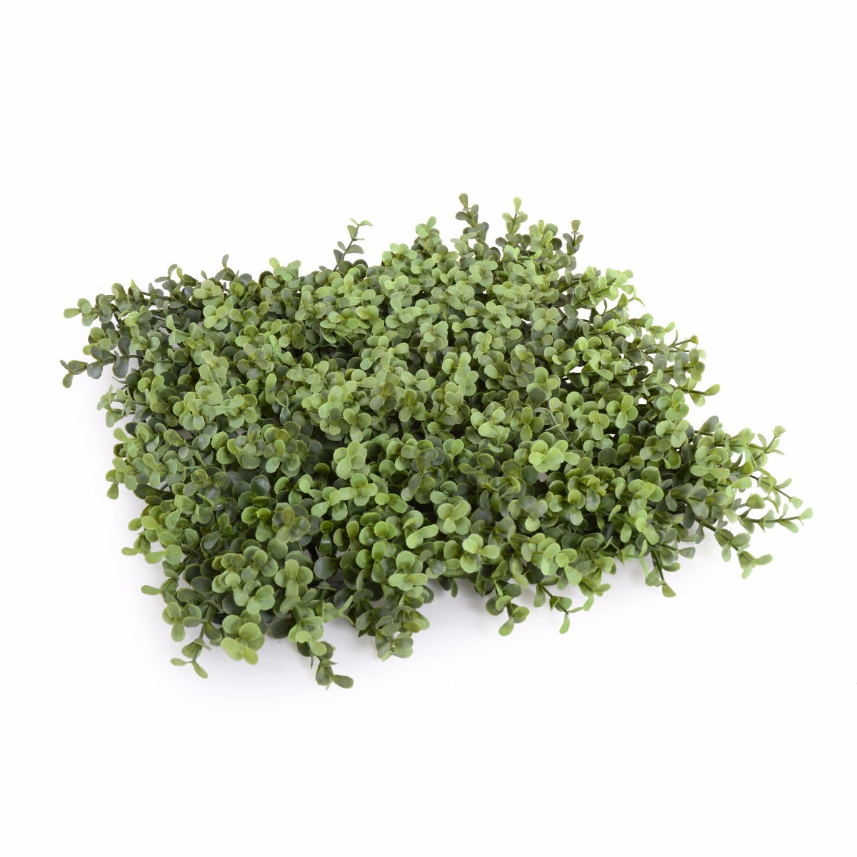NNEDSZ Deluxe Portable Buxus Hedges UV Stabilised 150cm Long X 150cm H ...
