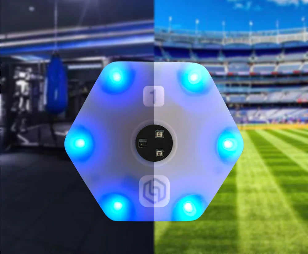 NNEOBA Speed Agility Training Light Lamp – NNE Living