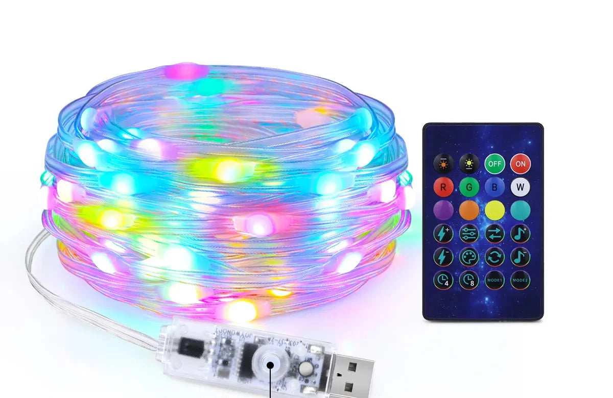 NNEOBA 20M Smart Bluetooth Addressable LED Christmas Lights – NNE Living