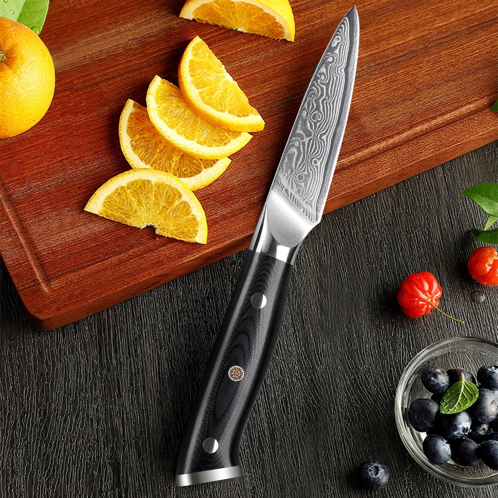 NNEOBA 3.5-Inch Damascus Steel Paring Knife VG10 Core Cutter Black ...