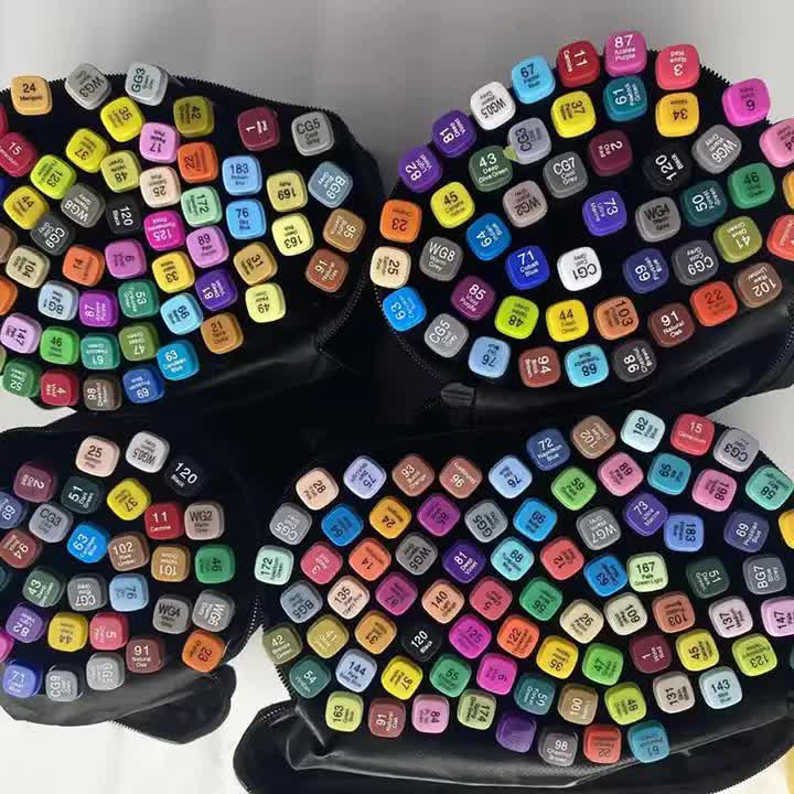 Professional Dual-Tip Marker Set - 30 Colors with Color-Coded Caps for ...