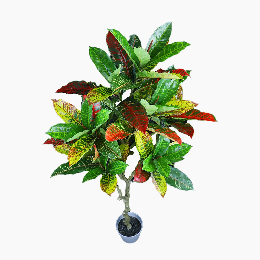 NNEDSZ 125cm Faux Artificial Home Decor Potted Codiaeum Plant – NNE Living