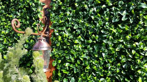 NNEDSZ Leaf Screens / Panels UV Stabilised 1m X 1m – NNE Living