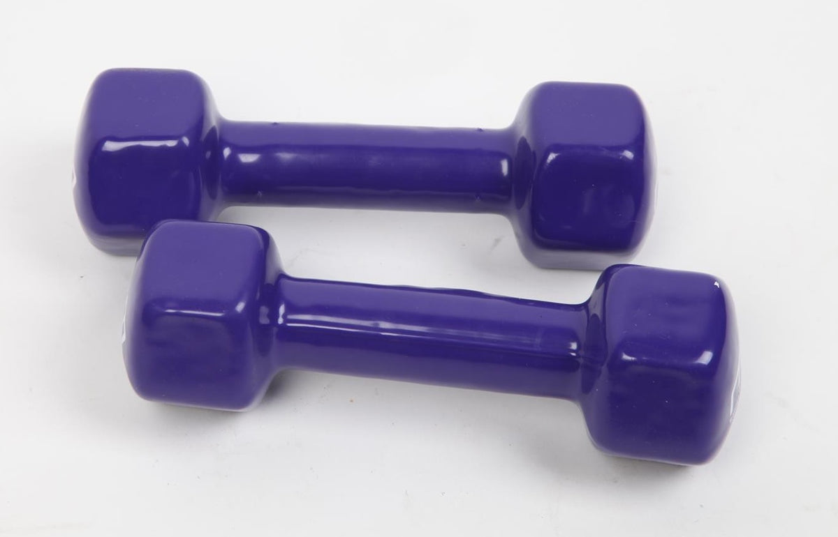 NNEDSZ Dumbbells Pair PVC Hand Weights Rubber Coated – NNE Living