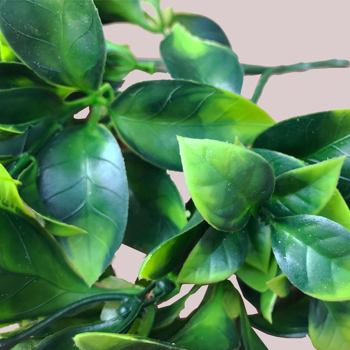 NNEDSZ Flowering Jasmine Stem UV Resistant 30cm – NNE Living