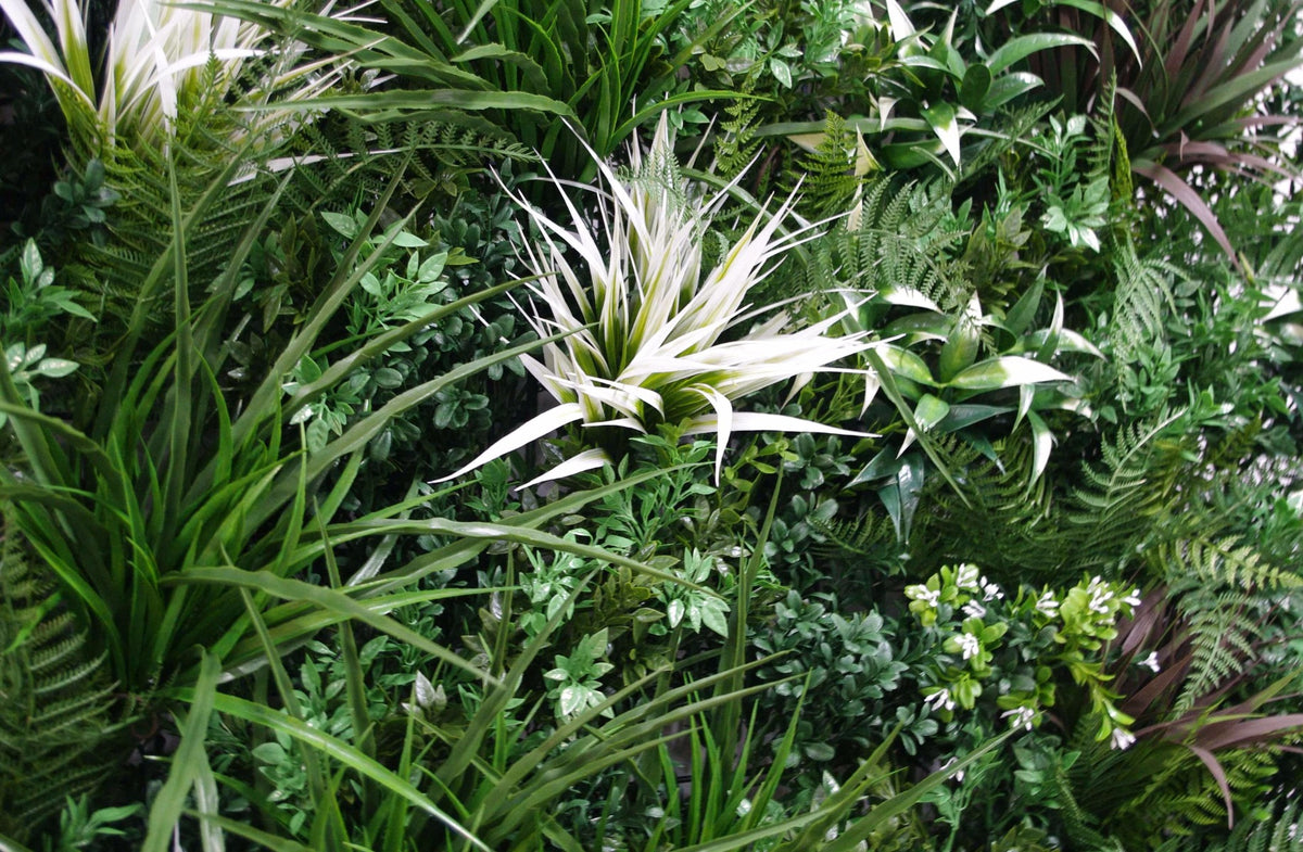 NNEDSZ Stabilized Tropical Fern Select Range Vertical Garden 100cm X 1 ...